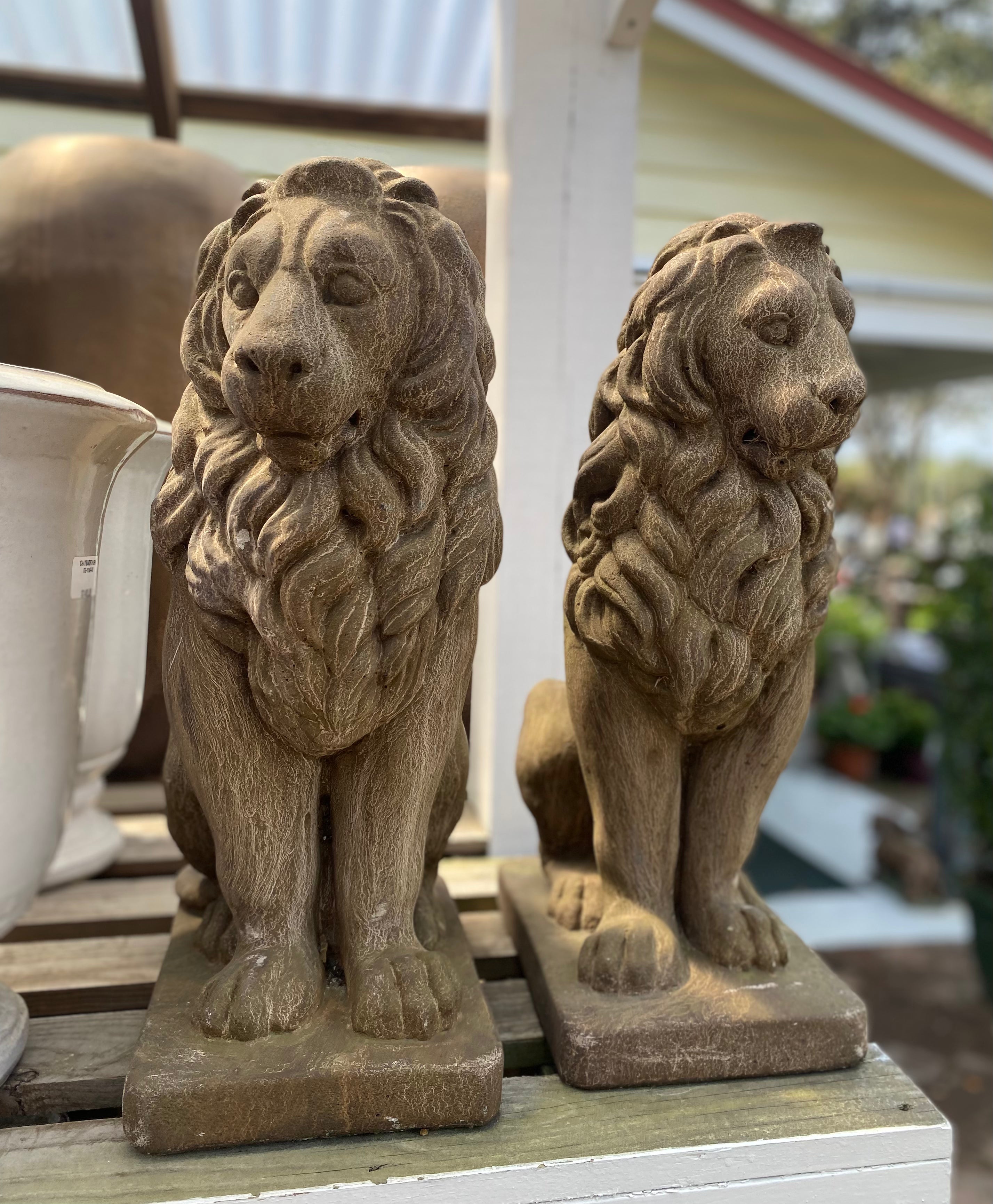 Regal Cast Stone Lion Statue – True Blue Nursery