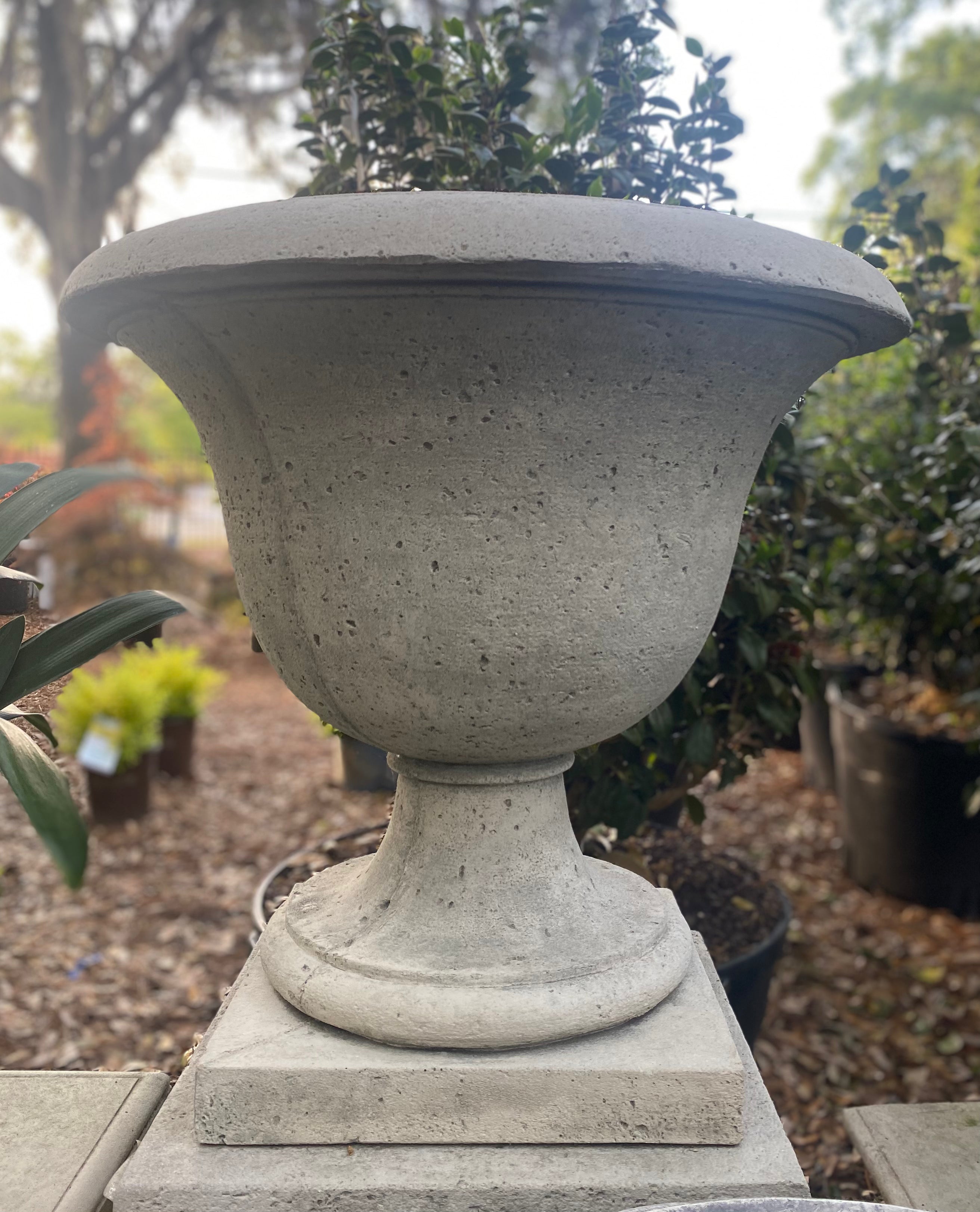 Whitfield Planter – True Blue Nursery
